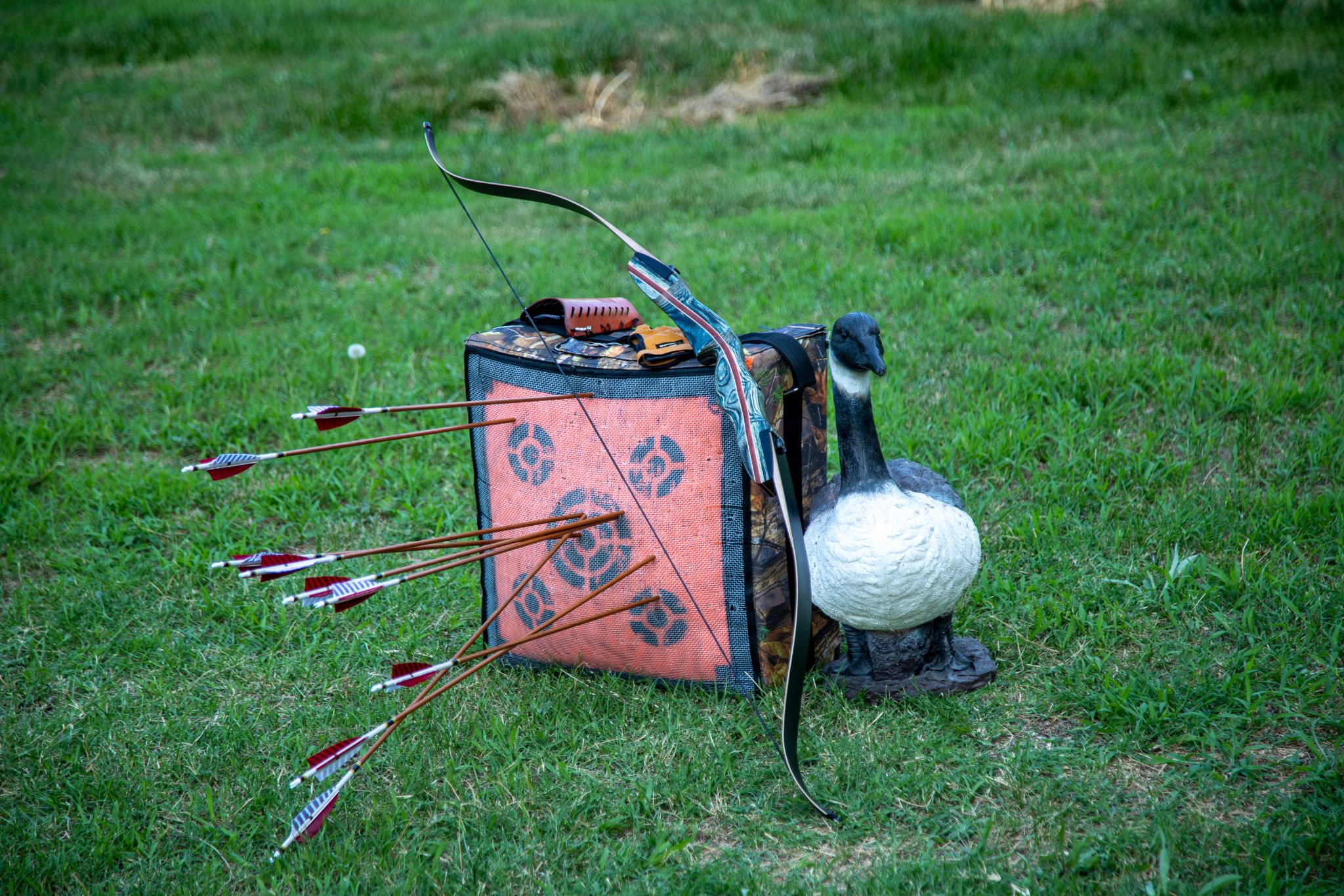 Warrior Recurve Bow